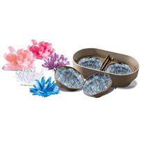 4M Steam Deluxe Crystal Science | Toys"R"Us Hong Kong Official Website ...