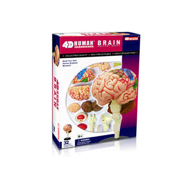 4D Human Anatomy | Toys"R"Us Hong Kong Official Website | 香港玩具“反”斗城官方網站
