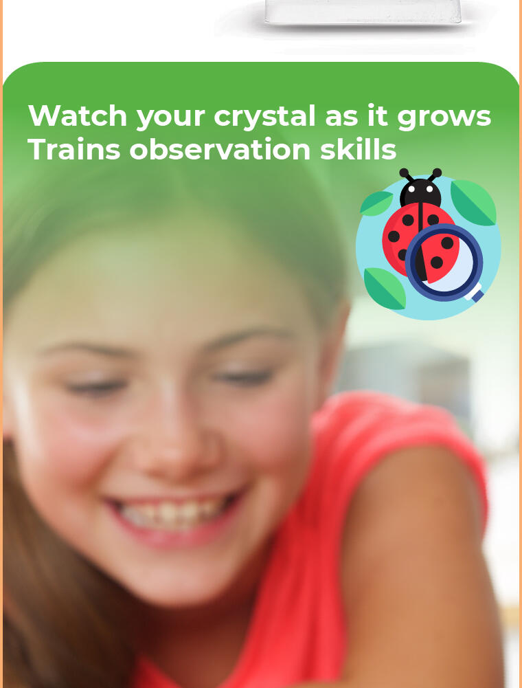 4M Steam Deluxe Crystal Science | Toys"R"Us Hong Kong Official Website